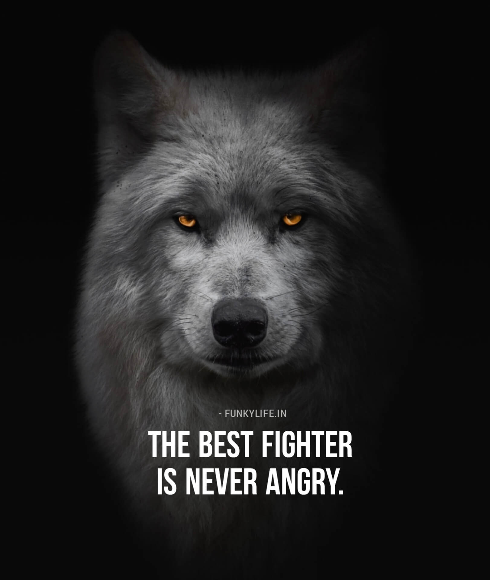 50 Motivational Quotes to Inspire and Empower You - Vizz Blog